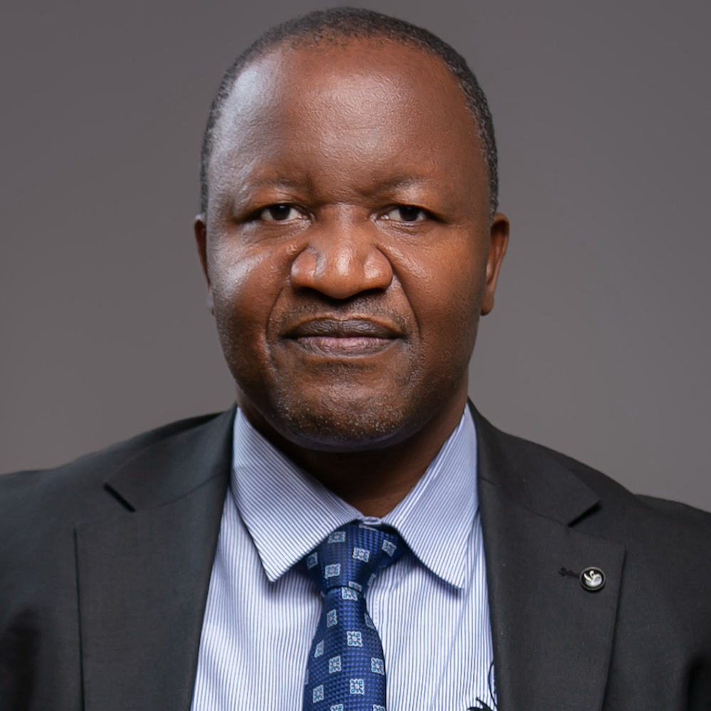 Prof. Gerald Misinzo - SACIDS